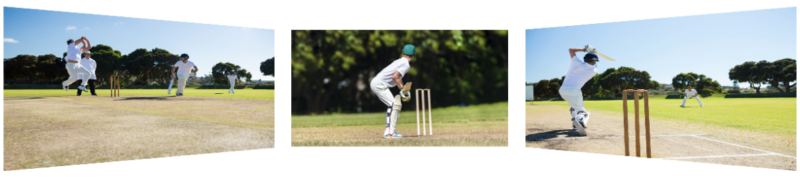 Cricket SmartField - PlaySight