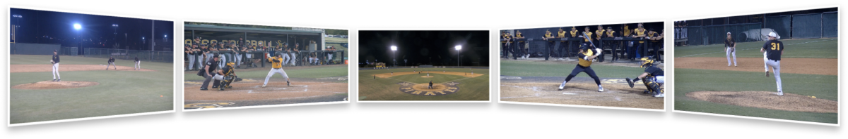 Baseball SmartField - PlaySight
